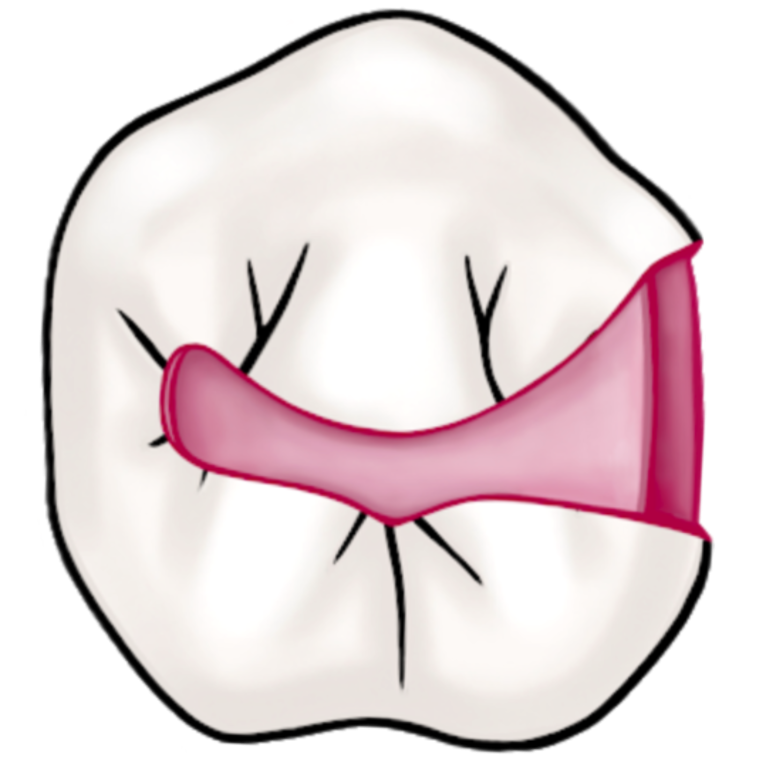 Home - My Dental Key