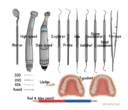 Class II Amalgam Preparation - My Dental Key