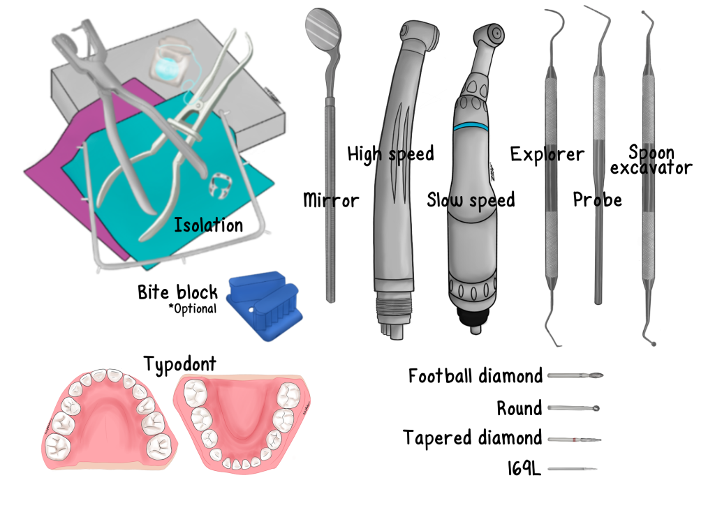 Stainless Steel Crown Preparation - My Dental Key