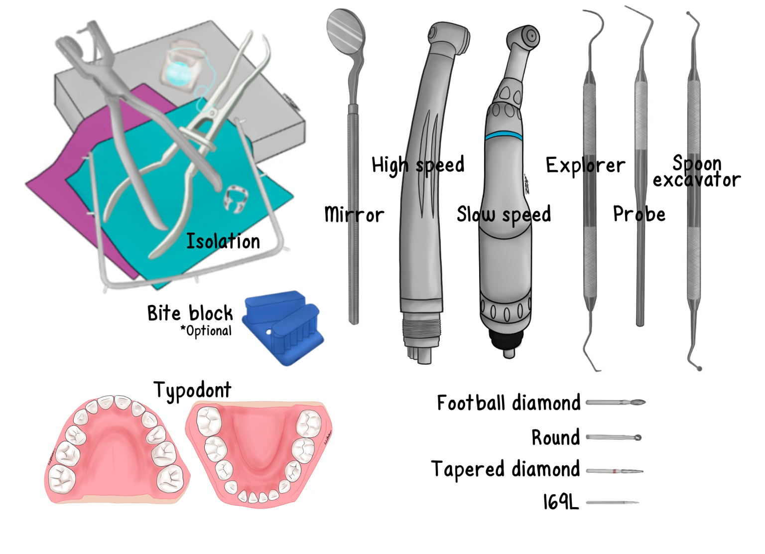 Stainless Steel Crown Preparation - My Dental Key