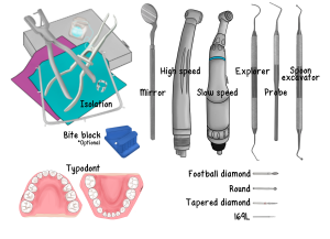 Stainless Steel Crown Preparation - My Dental Key