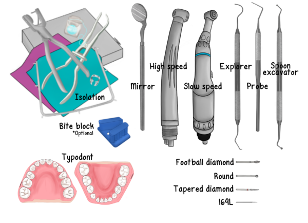 Stainless Steel Crown Preparation - My Dental Key