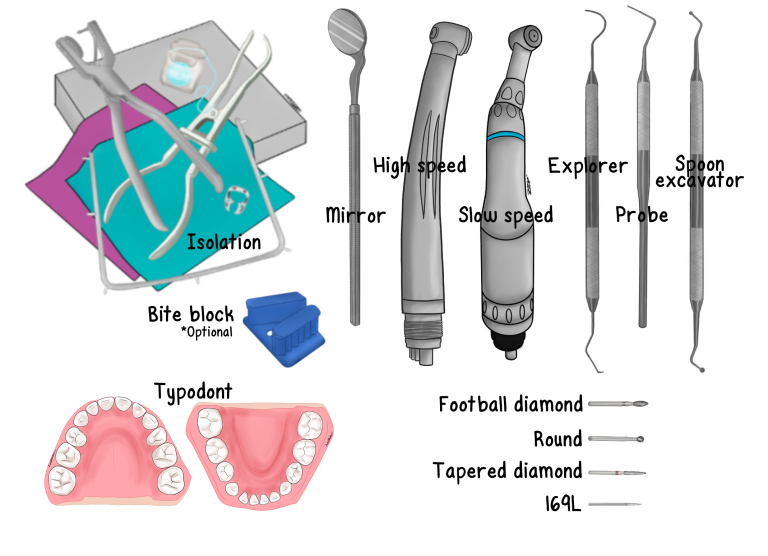 Stainless Steel Crown Preparation - My Dental Key