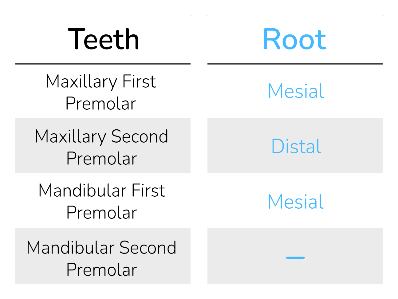 Premolars - My Dental Key