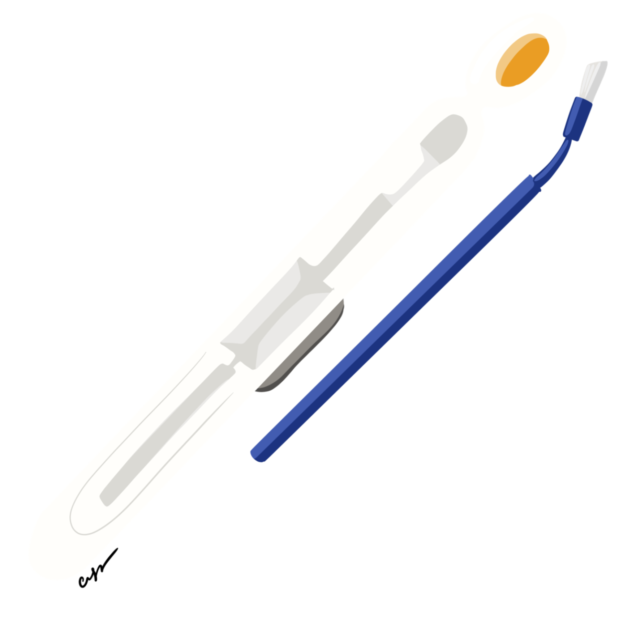 Fluoride - My Dental Key