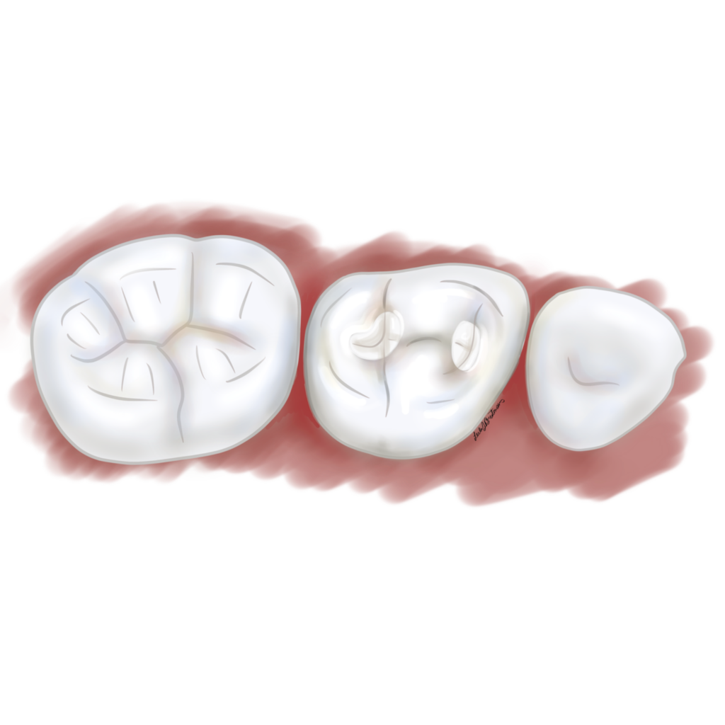 Pediatrics - My Dental Key