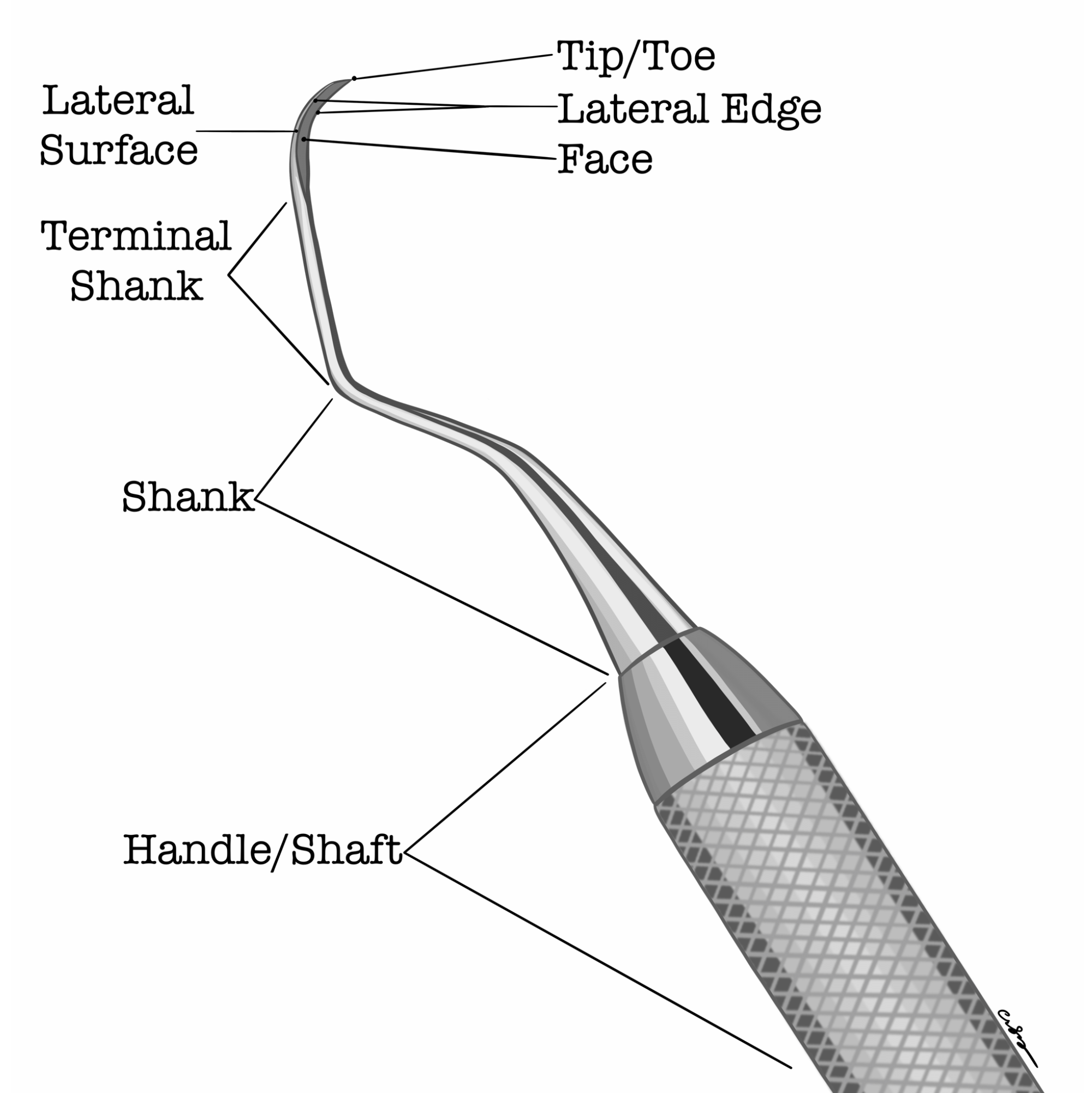 Periodontics - My Dental Key