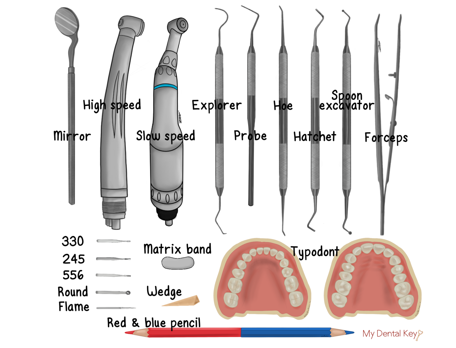 Class III Composite Preparation - My Dental Key