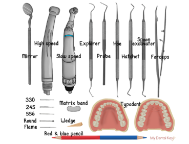 Class III Composite Preparation - My Dental Key