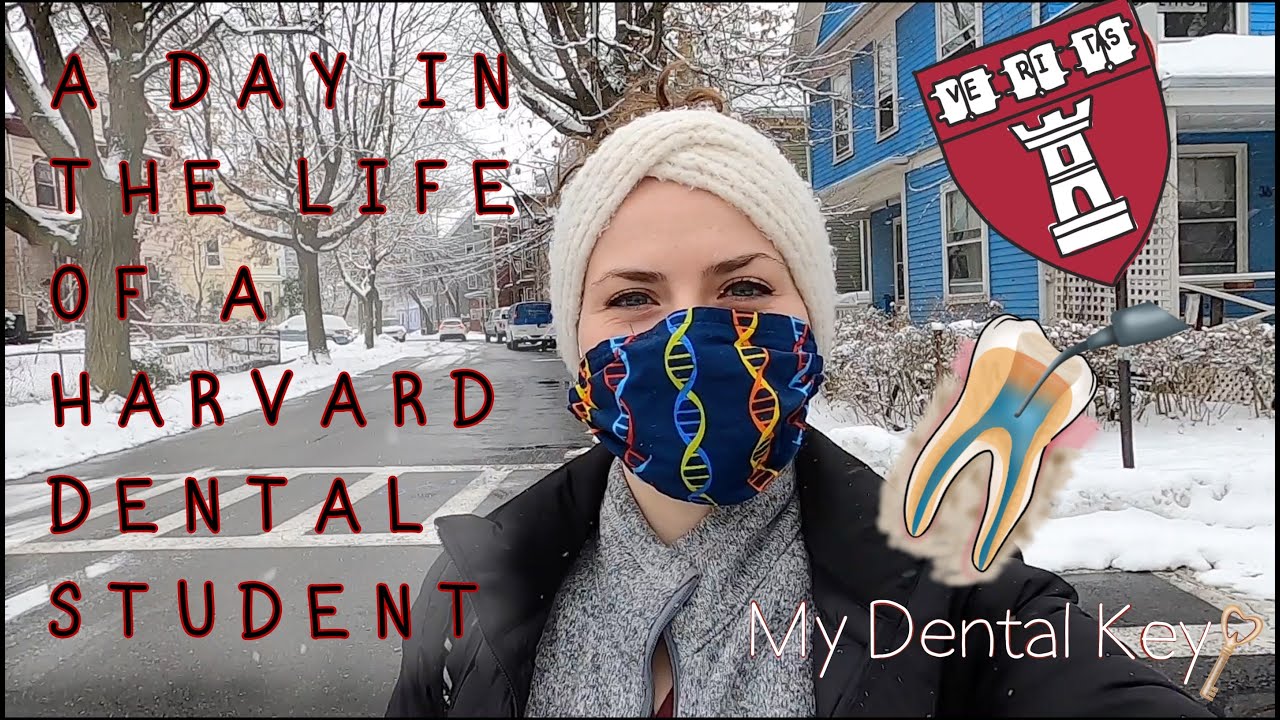 Dental Student Day in the Life - My Dental Key